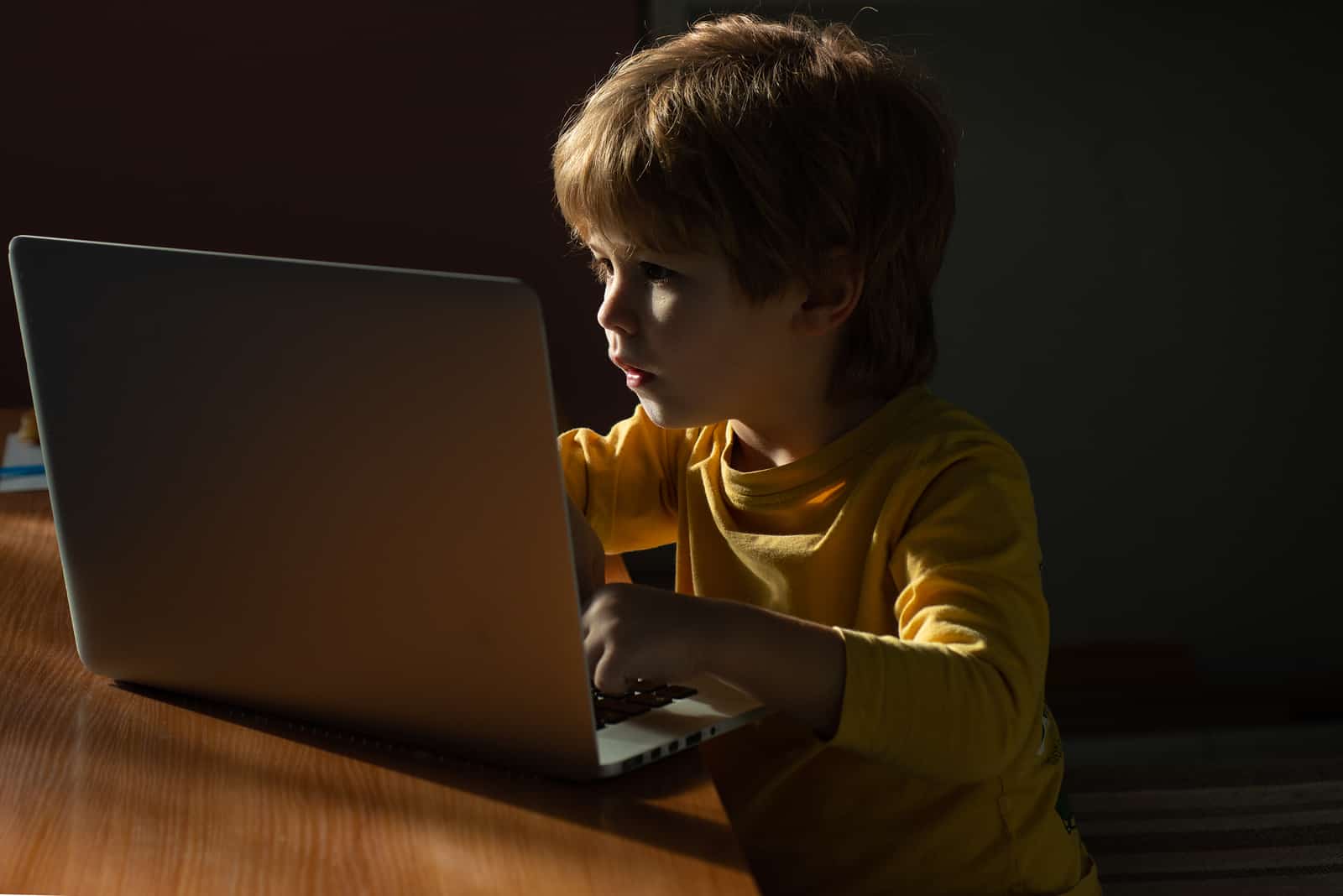 איך להגדיל את סמכות האתר שלך בגוגל? (DA) - Webs פתרונות אינטרנט